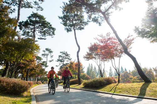 What you need to know to find a great cycle tour operator | Cycle Tours ...